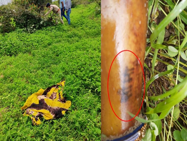 Unknown dead body was found murdered, accused used to call by phone ...