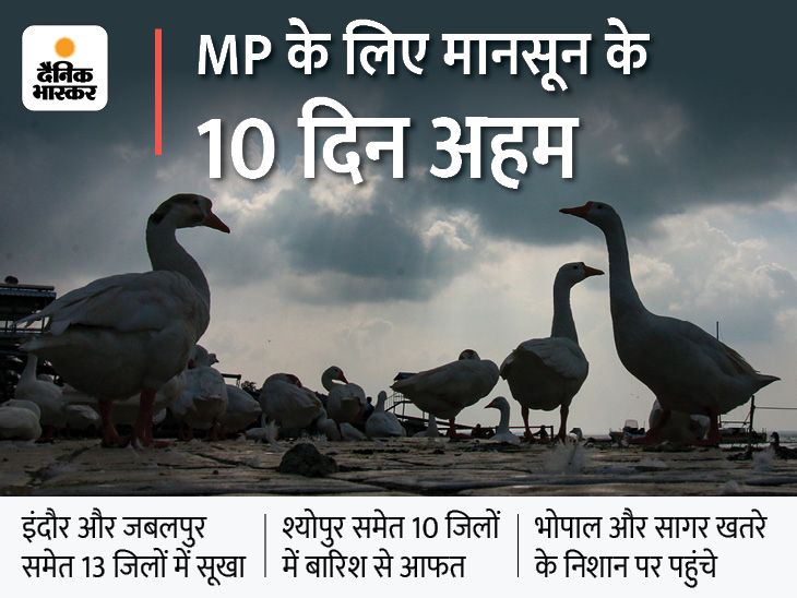 The situation worsened in Malwa-Nimar; Bundelkhand including Jabulpar ...