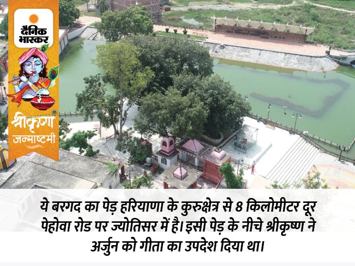 I am Akshay Vat... under which Shri Krishna gave the message of Karma ...