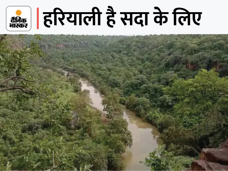 Police arrested Karan Morwal, son of Congress MLA from Indore Badnagar ...