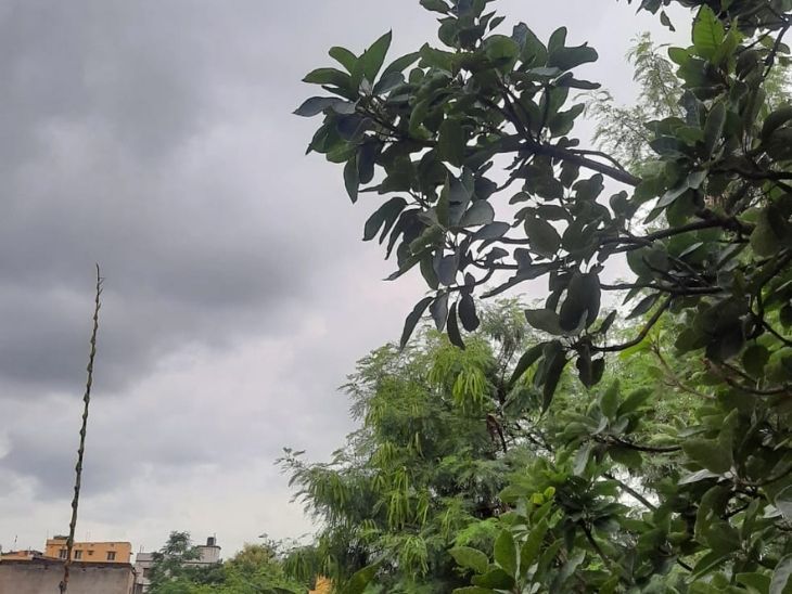 Latest weather update of Jharkhand; Ranchi's minimum temperature was 12 ...