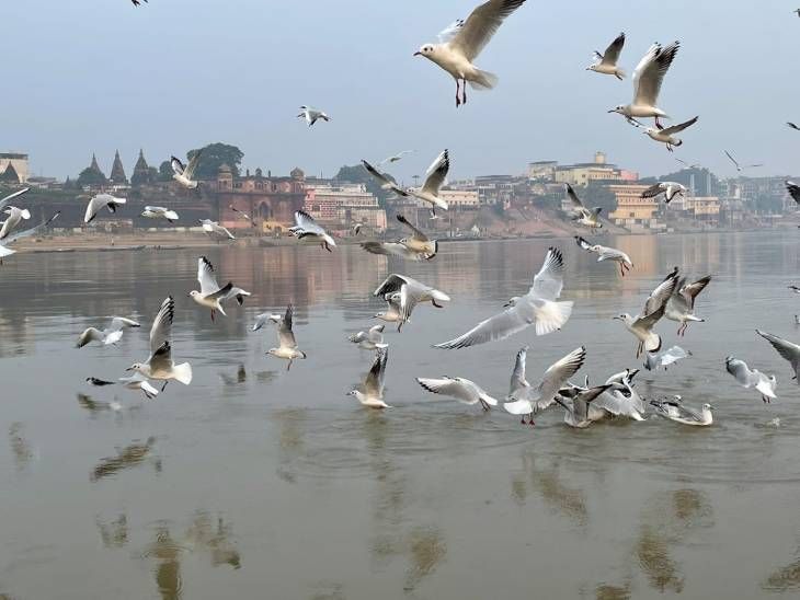 Varanasi today weather updates: After 3 days, the temperature of ...