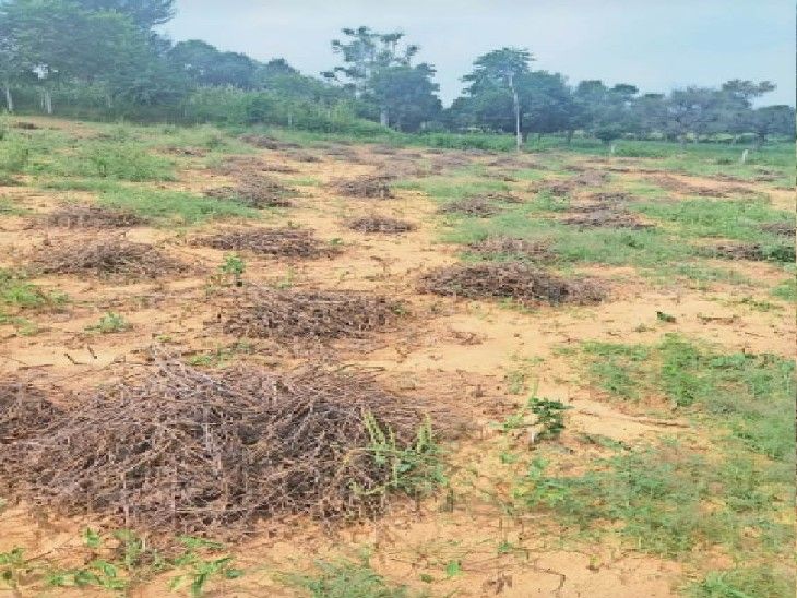 Report: The rains in September did not cause any damage in the district ...