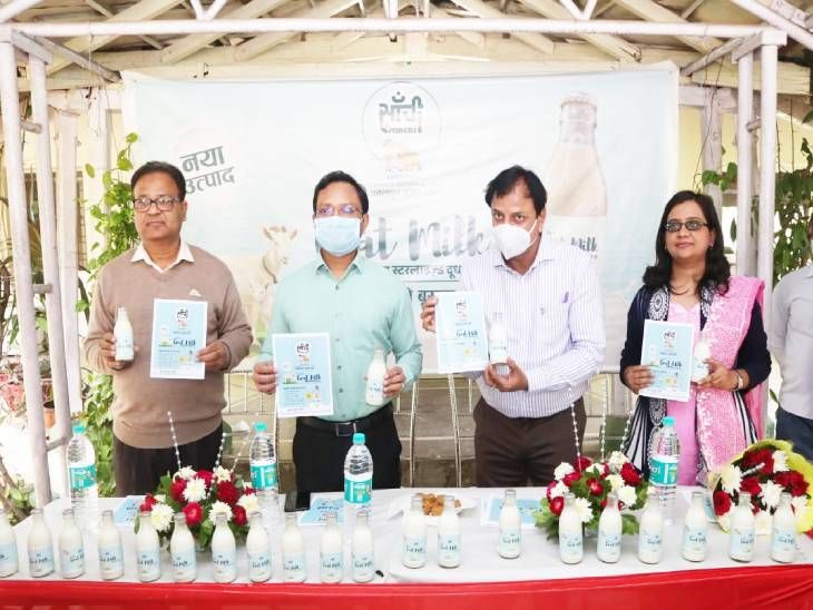 200 ml milk is being sold by Sanchi Milk Union for 30 rupees, goat ...