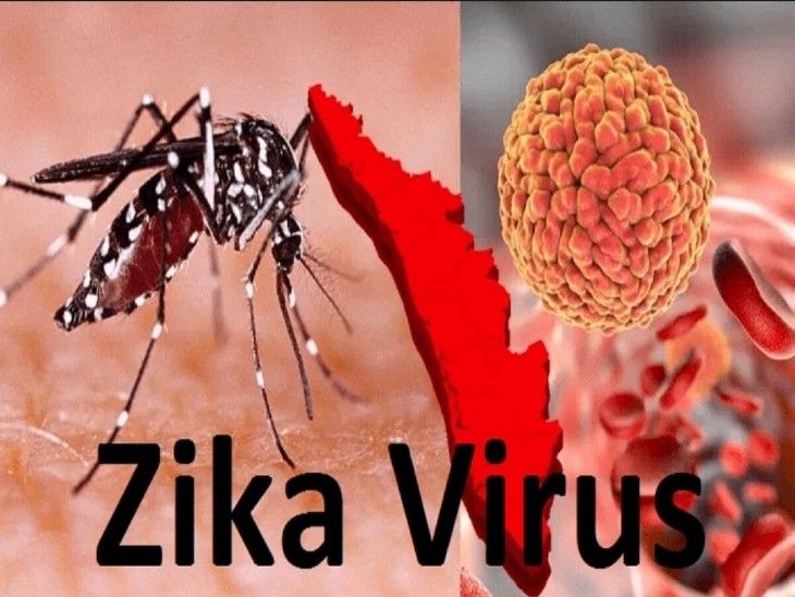 Zika Update - One more positive case in Lucknow,On Friday, Zika virus ...