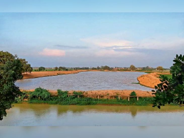 Forest Department will make such a park in Nokha where people will ...