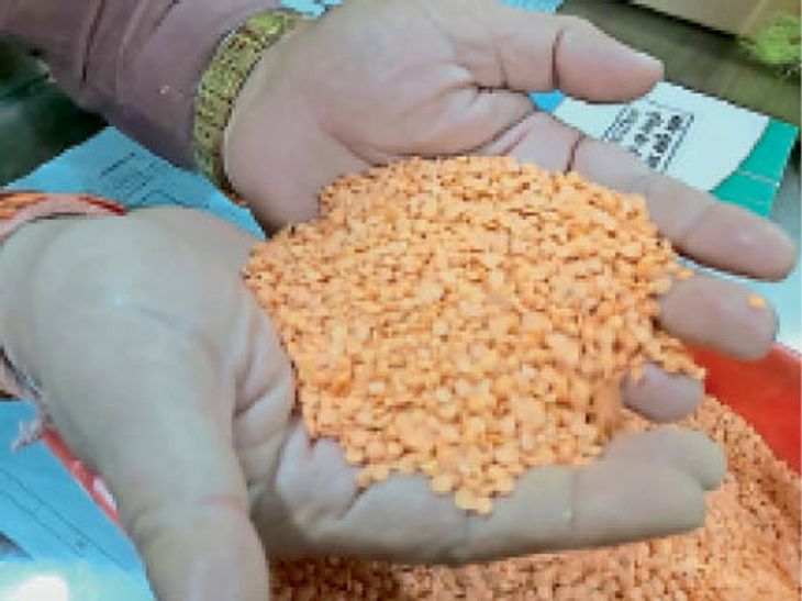 25 DPRs of Chana Dal Processing Unit and 5 of Tomato Unit were made ...