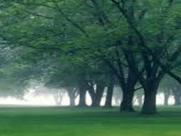 Time of change of season Hemant season till December 21, this is the ...