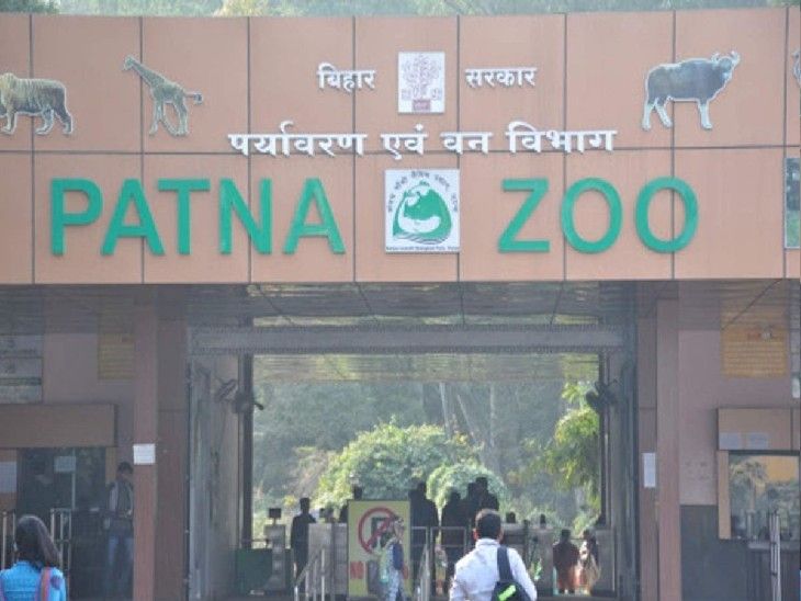 New Year Celebration at Patna Zoo, Book Tickets in Advance | पटना ...