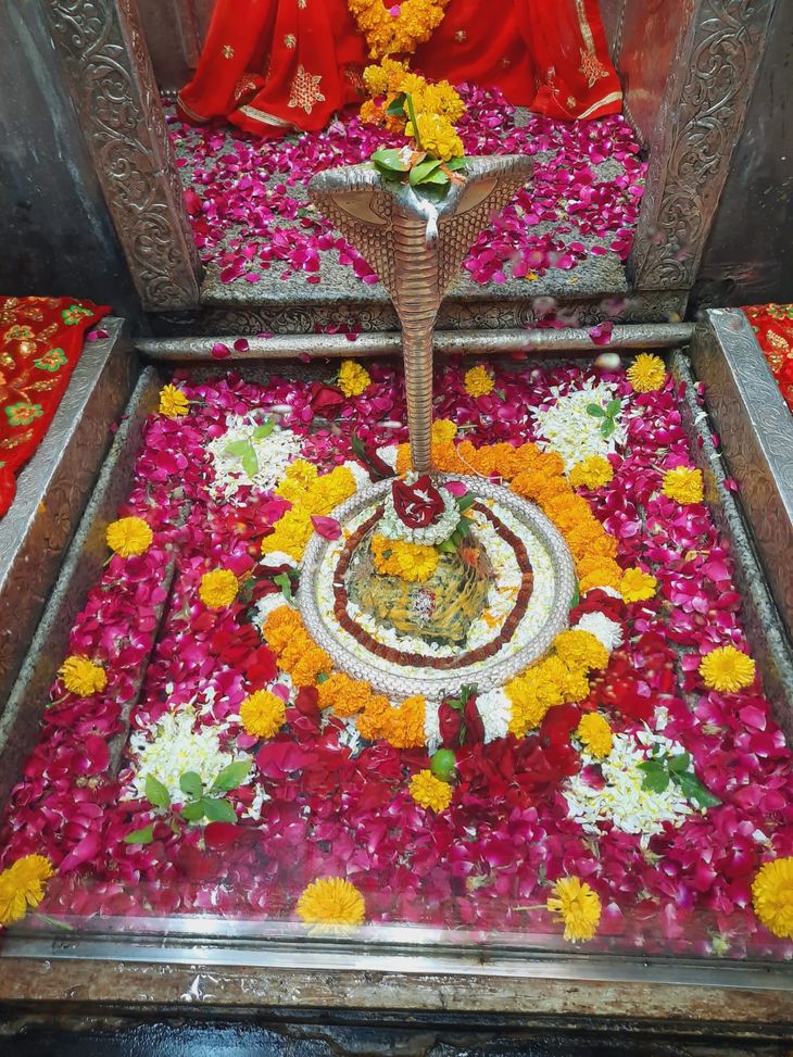 Court decorated with attractive flowers in Mangala Aarti, adorned by ...