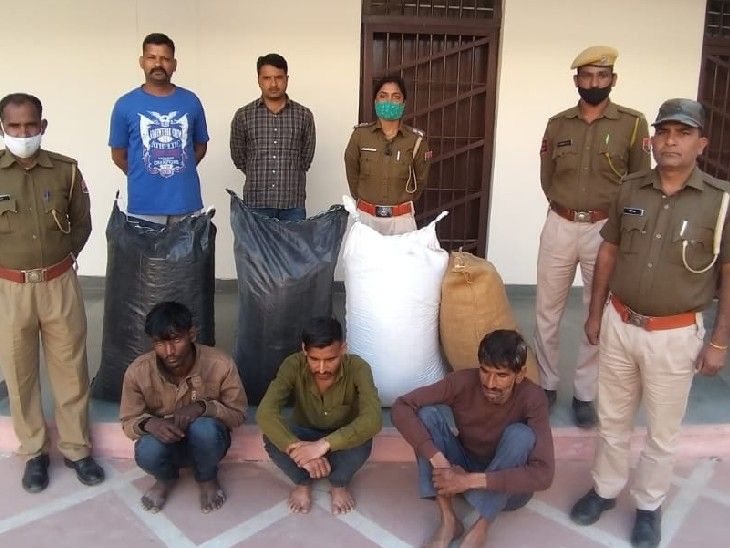 Doda poppy was being dropped on the house, the police of three police ...