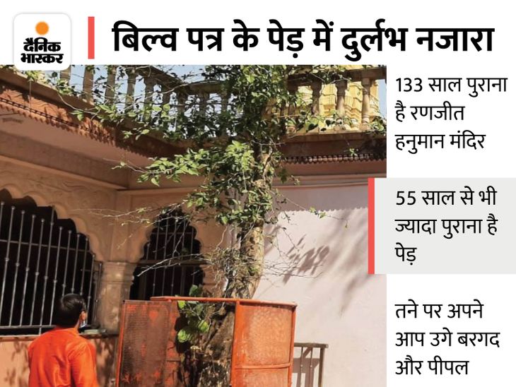 Trees of Triveni, Banyan and Peepal made in the tree of Bilvapatra grew ...