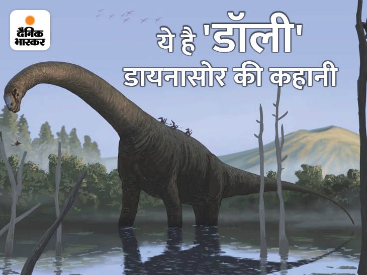 150 million years ago, living dinosaurs had lung infection, evidence ...