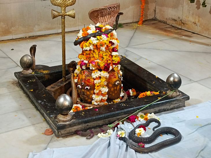 Snakes kept roaming near Shivling, unique snake tableau in 250 year old ...