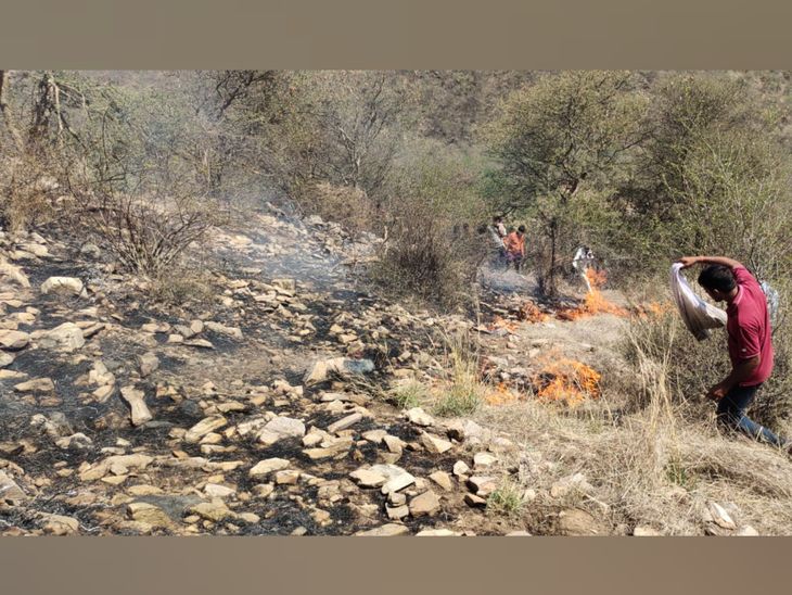 With rising temperature, fire broke out in Kalakota forest area, grass ...