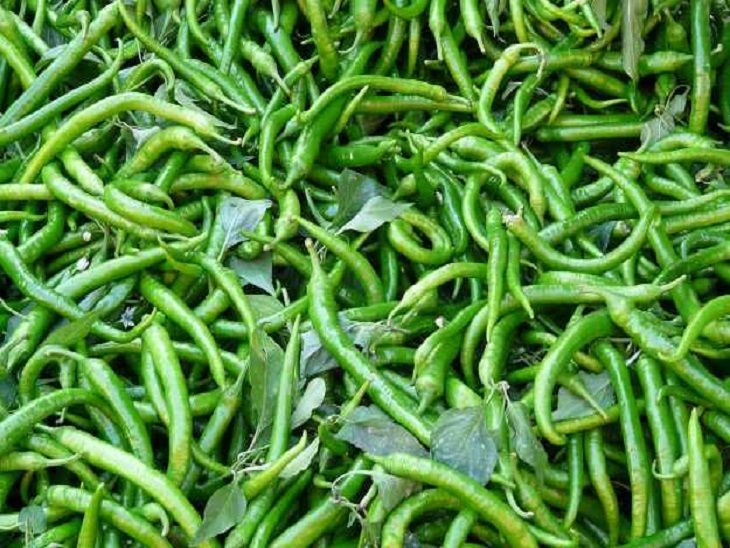 Chilli is coming from Kolkata, Mumbai and Orissa, the wholesale price ...