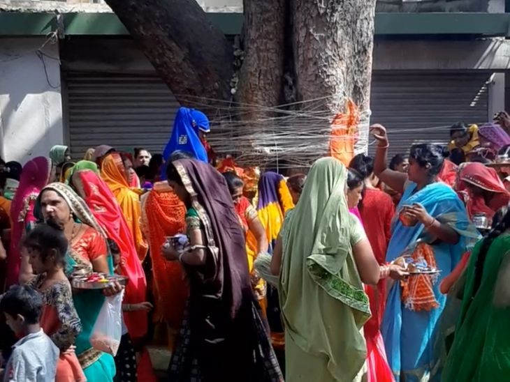 Dasha Maa's fast worship in Jhabua, women worshiped Peepal and wished ...