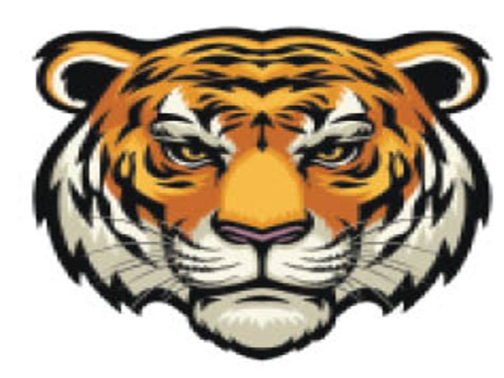 Bhopal's Van Vihar will give 2 tigers, 4 leopards to the world's ...