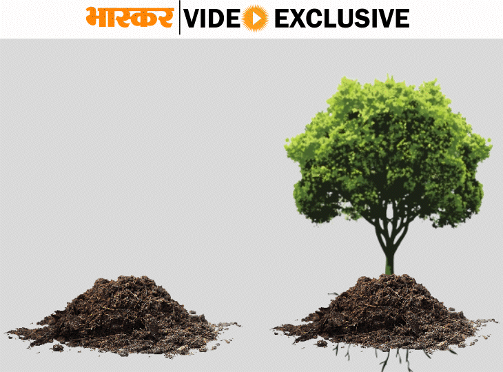 Now there is no need to cut trees, thousands of trees are being shifted ...