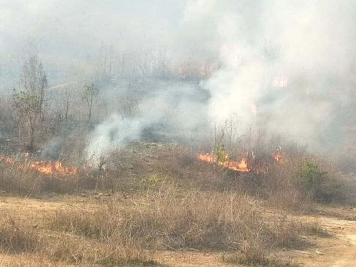 The Kaimore forest of Bagdara sanctuary continued to blaze even on the ...