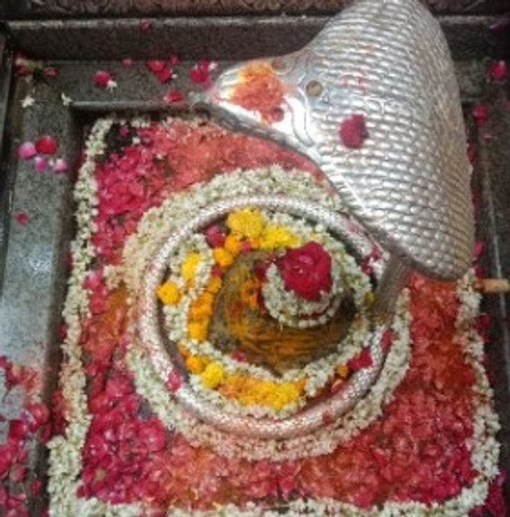 Gorgeous makeup of Lord Shankar Mahadev with rose flowers; Do.. Mangala ...