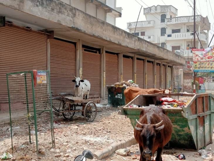 The condition of New Basti Ward-7 is poor, the population of five ...