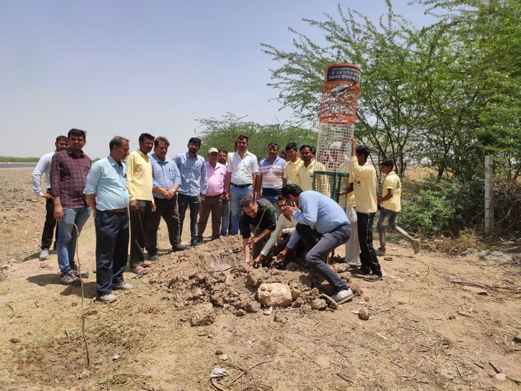 Tree plantation work started on both sides of Beawar Highway, trust ...