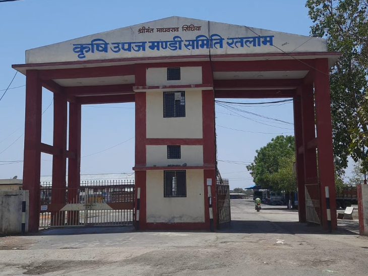 Slight rise in the prices of Sharbati and Lokvan wheat, Sharbati 3620 ...