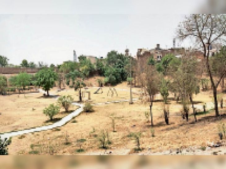 Bhadra Park and DC Park became the abode of addicts, greenery ...