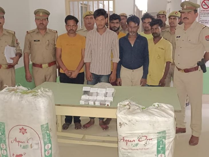 Police caught Charash worth 12 lakhs kept between sacks of food in the ...