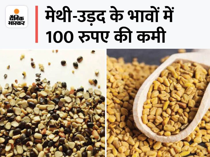 Millet rose by Rs 100, fenugreek-urad prices came down by Rs 100 ...