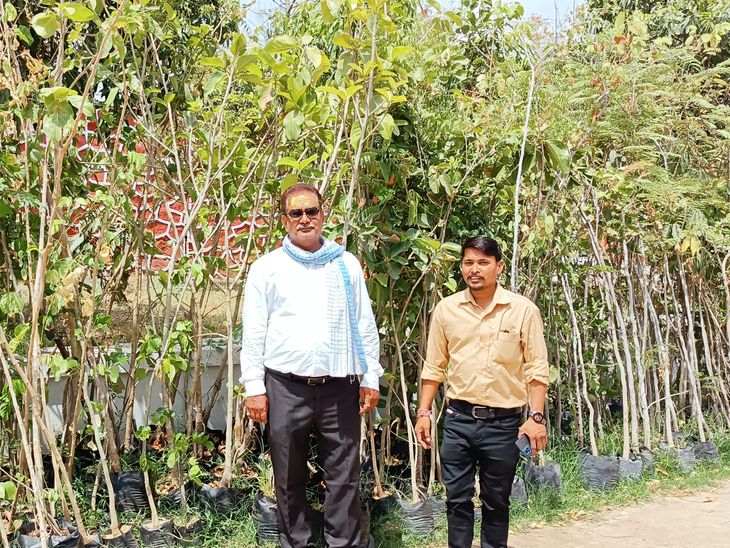 Due to the efforts of Nikhil Dham Sansthan, the greenery covered the ...