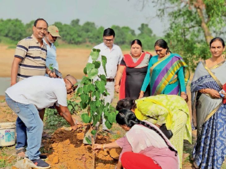 Important contribution of Vat and Peepal tree in keeping the ...
