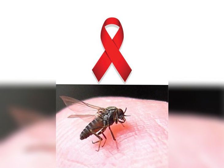 A neglected disease caused by Kala-azar parasite | जानकारी: कालाजार ...