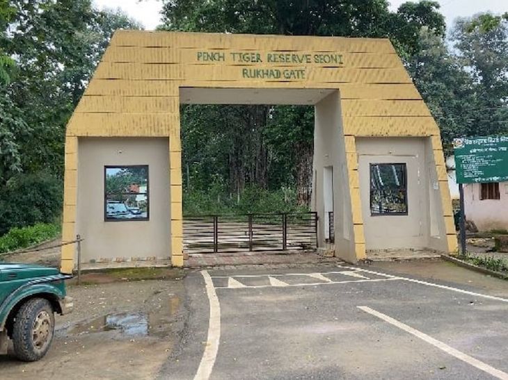 Tiger Reserve gates will be closed after June 30 evening safari ...