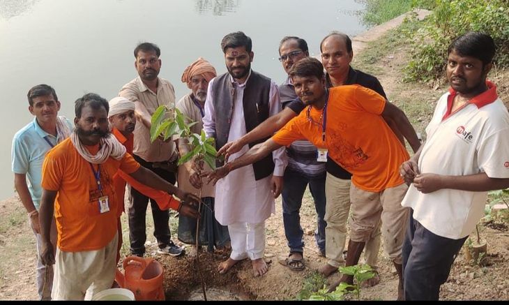 Harishankari trees planted on the banks of the river, said - these ...