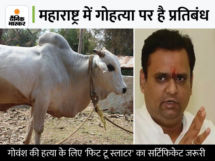 Bakrid Vs Cow Slaughter; Maharashtra Speaker Rahul Narvekar Letter To DGP