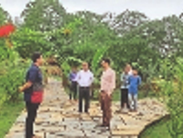 Instructions to improve the system in ethanol plant and Dhankul Eco ...