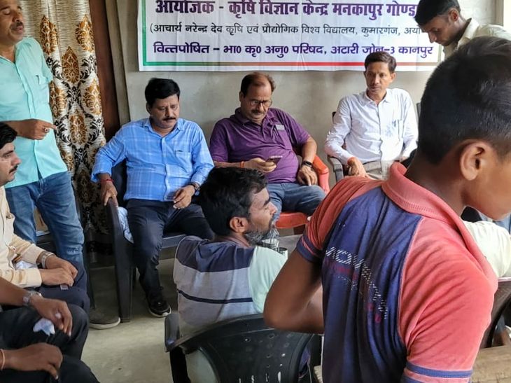 Farmers sow urd crop when there is no rain, Training at Krishi Vigyan ...