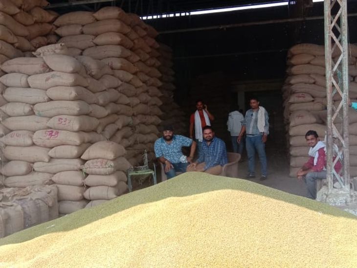 49 registration centers set up in Harda district for the procurement of ...