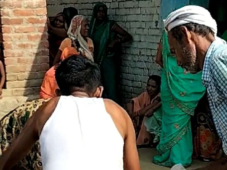 Stray calf slammed to death, hundreds of animals roaming freely