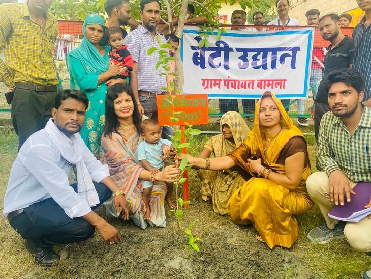 The district head got a plant planted by the girl's hands in Bamla Gram ...