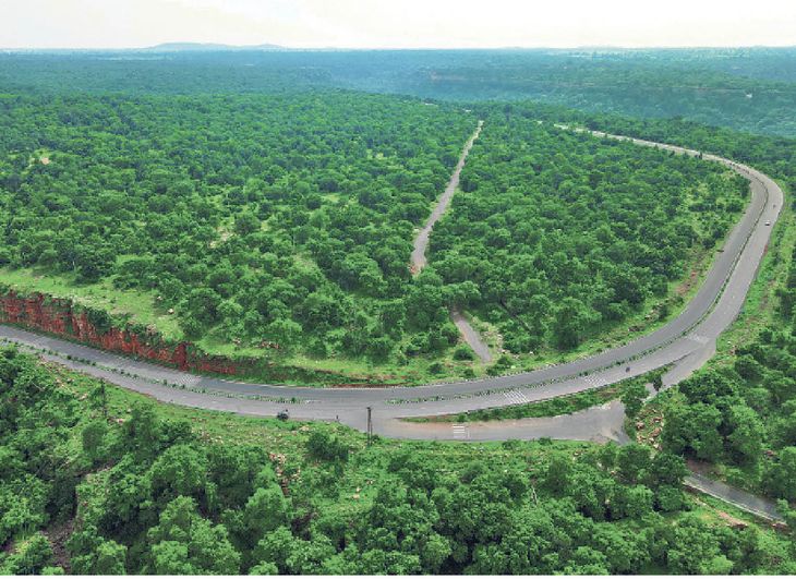 The forest of Shahabad is spread over 19 thousand hectares, development ...