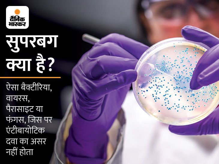 Superbugs Vs Fabimycin; American Scientists Developed Drug Against ...