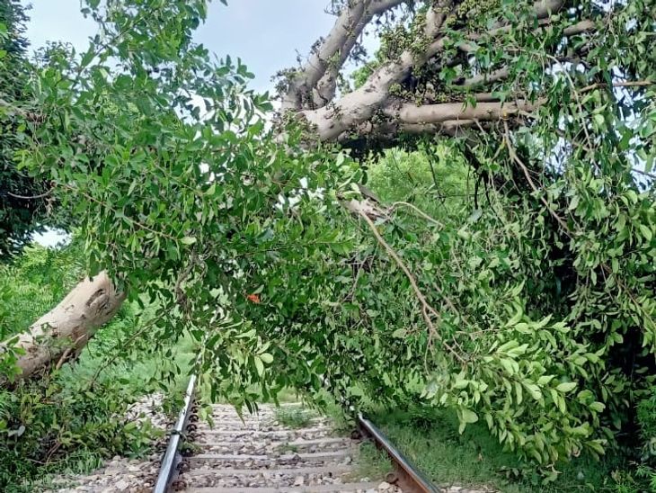 Many poles broken, Balamau going passenger stood at Makhi station for 6 ...
