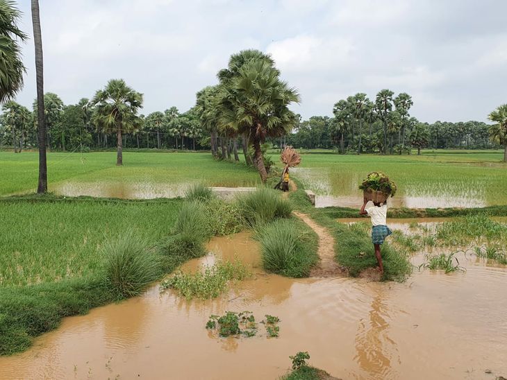 Water came in the river irrigating the large area of 5 blocks of ...