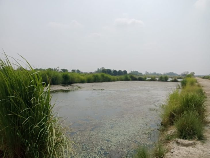 Due to the sinking of the paddy nursery, Chi Jie said - the flow has ...