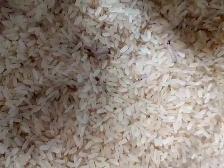 The customer complained to the SDM, said - 2 Hammals became ill, saw ...