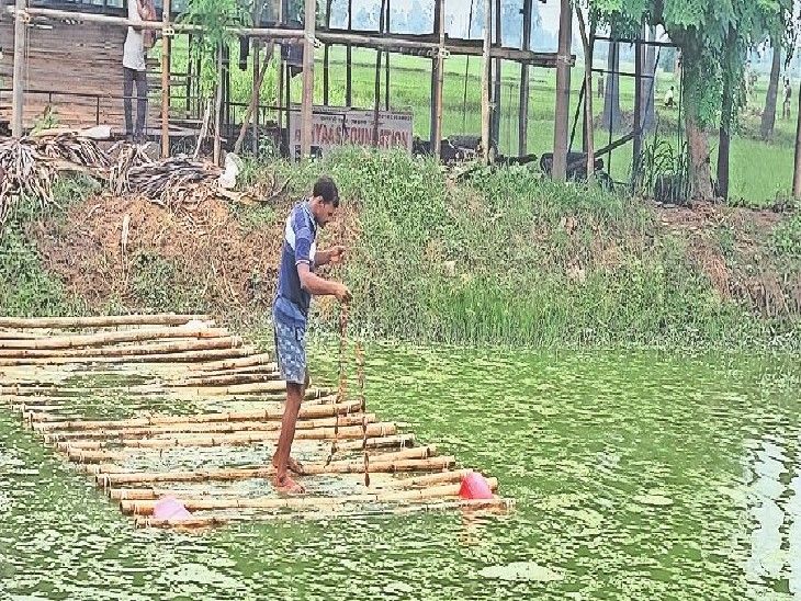 Magadha region's first pearl farming started in Manpur, farmers will ...