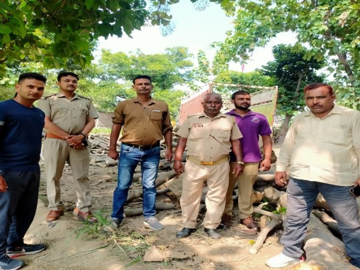 Truck laden with Gutel wood caught in Rudrapur | रुद्रपुर में गुटेल की ...